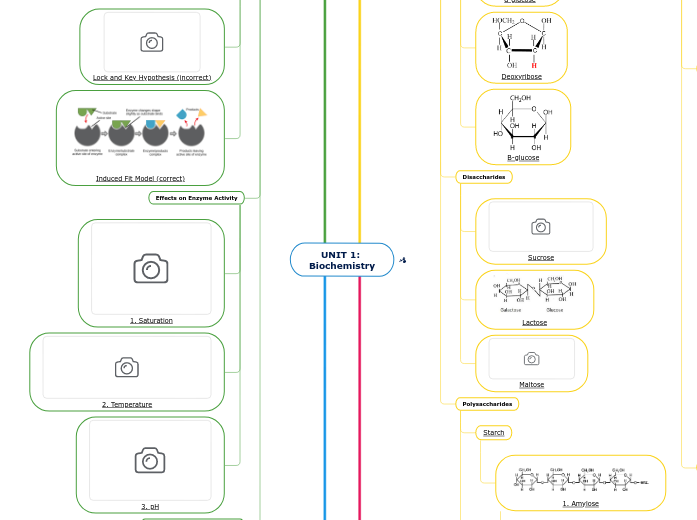 UNIT 1: Biochemistry - Mind Map
